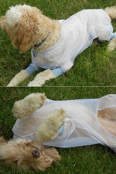 Dog Insect & Tick Protective Jacket | Bugbaffler.com
